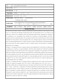 A role of apoplastic flow in salt stress mitigation by salicylic acid ...